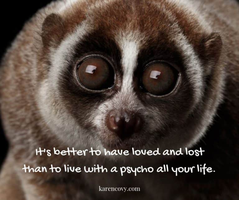 Funny Divorce Quotes: 27 Divorce Memes To Make You Laugh!